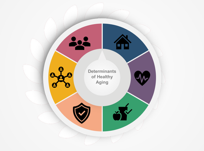 Healthy Aging Alberta Asset Mapping